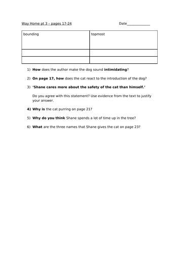 Way Home by Libby Hathorn Guided Reading Questions | Teaching Resources