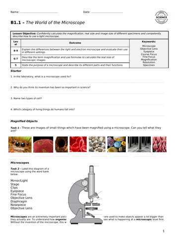 B1.1 - The World of the Microscope (AQA GCSE) | Teaching Resources