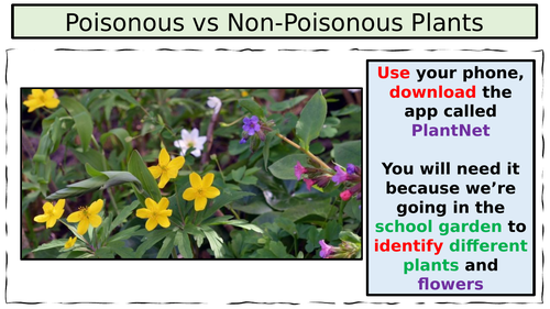 Fieldstudy: Poisonous vs Non-Poisonous Plants | Teaching Resources