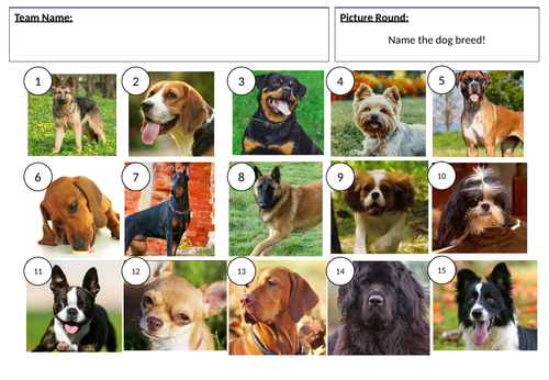 Dog Breeds Picture Quiz - answers in descrption | Teaching Resources