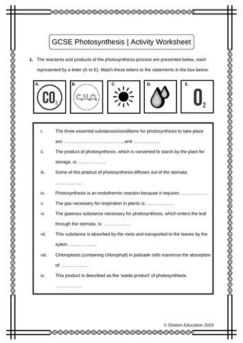 GCSE Biology - Photosynthesis Activity Worksheet | Teaching Resources