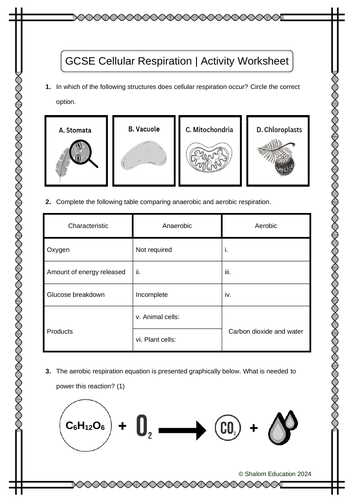GCSE Biology - Cellular Respiration Activity Worksheet | Teaching Resources