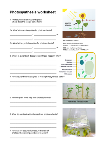 AQA photosynthesis worksheet, GCSE biology 9-1 | Teaching Resources