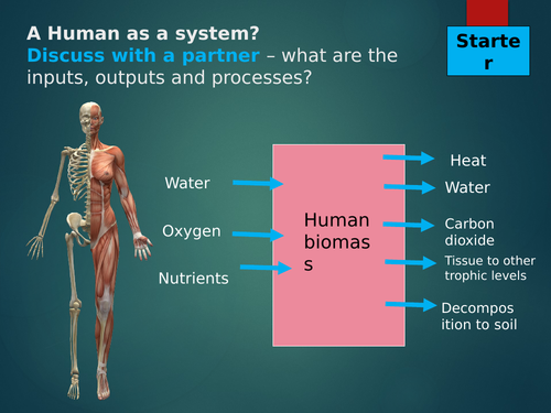 ESS Foundations Unit 1.2 Systems – Lesson 1 (ESS) First Teaching 2024 ...