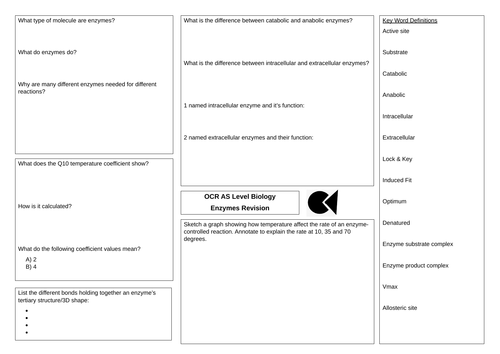 OCR A Level Biology A Enzymes revision A3 worksheet | Teaching Resources