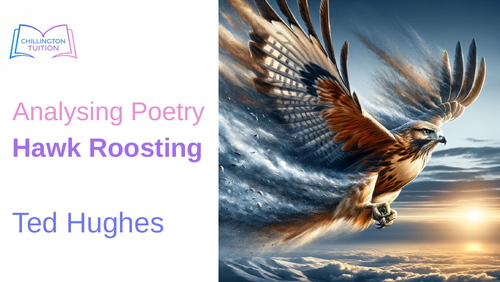 Poetry: Hawk Roosting by Ted Hughes | Teaching Resources