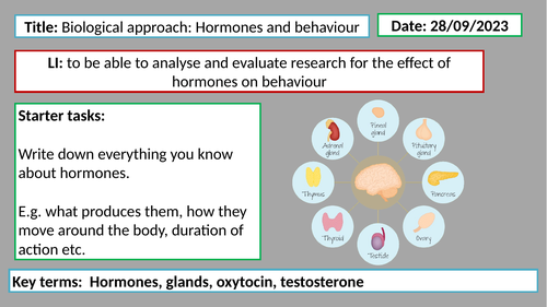 IB Psychology: Hormones and behaviour | Teaching Resources