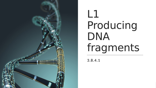 3.8.4.1 L1 Producing DNA fragments (AQA A-level Biology) | Teaching ...