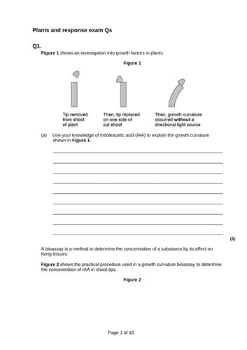 AQA A level Biology - 3.6 Organisms respond 2: Plant responses ...