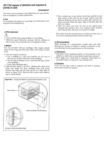 AQA A level Biology - 3.6 Organisms respond 2: Plant responses ...