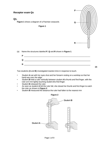 AQA A level Biology - 3.6 Organisms respond 3 & 4: Reflexes & receptors ...
