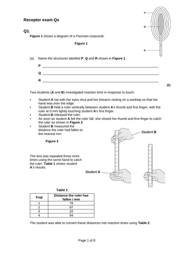AQA A level Biology - 3.6 Organisms respond 3 & 4: Reflexes & receptors ...