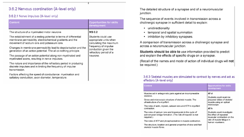 AQA A level Biology - 3.6 Organisms respond 9: The synapse | Teaching ...