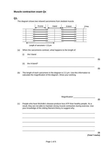 AQA A level Biology - 3.6 Organisms respond 10 & 11: Muscles | Teaching ...