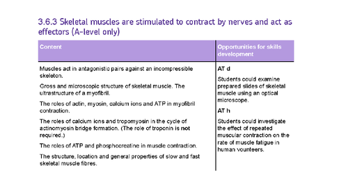 AQA A level Biology - 3.6 Organisms respond 10 & 11: Muscles | Teaching ...