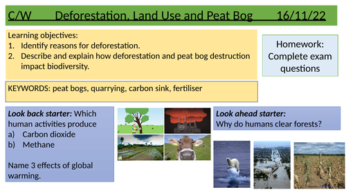 Deforestation and land pollution | Teaching Resources