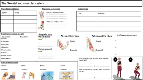 Edexcel GCSE PE Paper 1- Anatomy and Physiology revision mind map ...