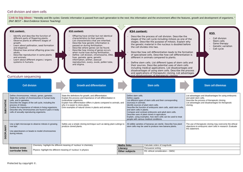 KS4 Cell division, Stem cells curriculum framework | Teaching Resources