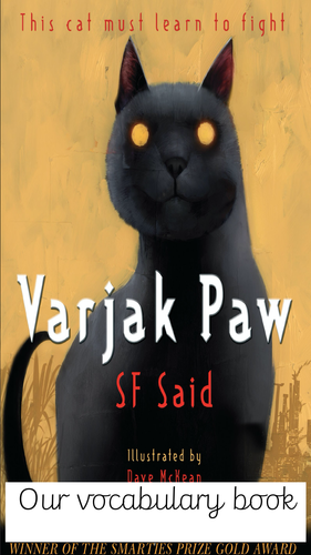 Varjak Paw vocabulary book | Teaching Resources
