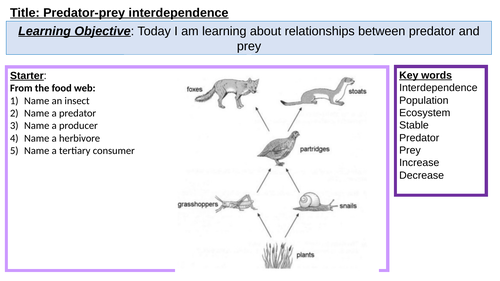KS3 Interdependence | Teaching Resources