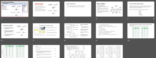 KS3 Interdependence | Teaching Resources