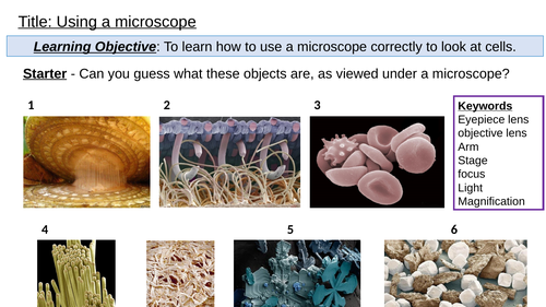 Microscopy | Teaching Resources