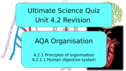 Digestive system revision quiz AQA | Teaching Resources