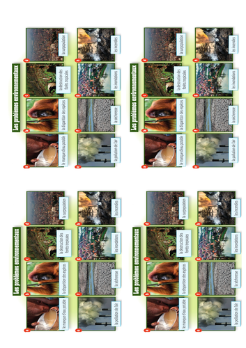Year 11 French Revision lesson 8 | Teaching Resources