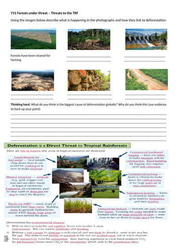 Edexcel B GCSE Geography Forests Under Threat Lessons | Teaching Resources
