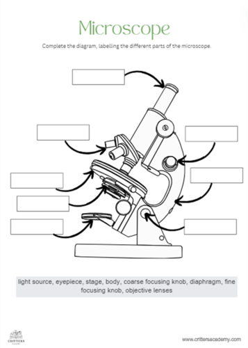 Biology diagram labelling activity bundle | Teaching Resources Biology diagram labelling activity bundle | Teaching Resources