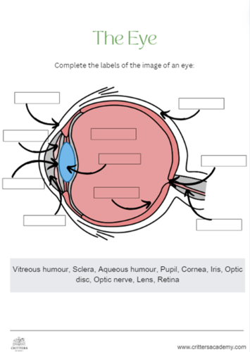 Biology diagram labelling activity bundle | Teaching Resources Biology diagram labelling activity bundle | Teaching Resources