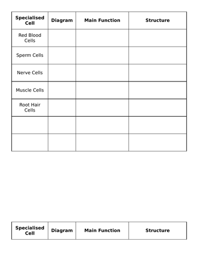 B1.4 - Specialisation in Animal Cells (AQA GCSE) | Teaching Resources
