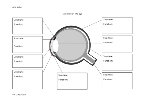 Eye Structure and Accommodation - GCSE Biology | Teaching Resources