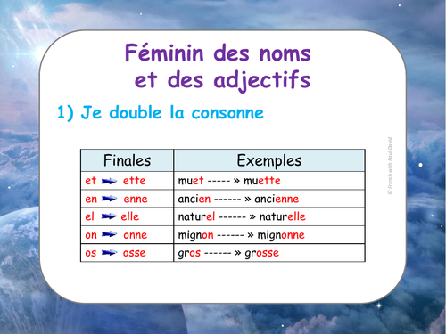 Féminin des noms et des adjectifs - 80 mots étiquettes | Teaching Resources