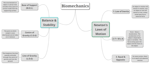 Biomechanics Mind Map | Teaching Resources
