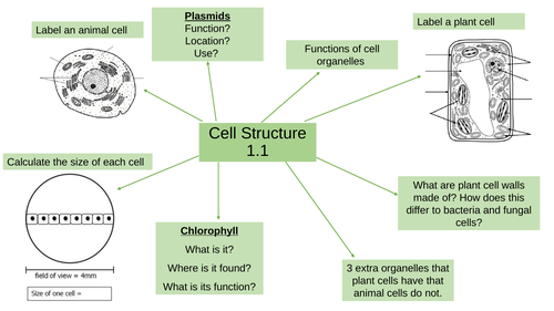 Mindmap Recap National 5 Biology Cell Structure 1.1 | Teaching Resources