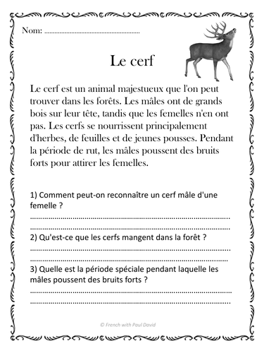 10 Compréhensions de lecture: Animaux / French Reading Comprehension ...