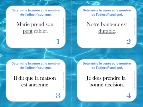 L'accord des adjectifs - 40 cartes à tâches / French Adjectives ...