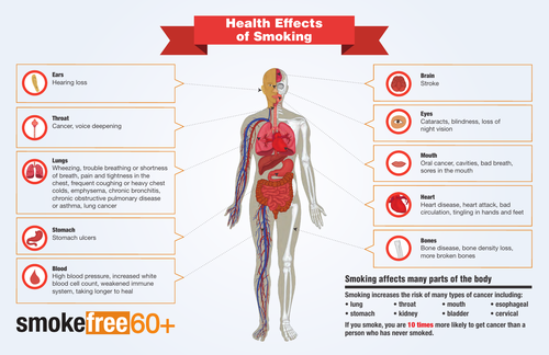 T-Level Health 2024-2025 A9.7-A9.12 Health and wellbeing life choices ...