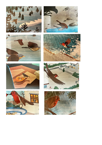 KS1/Year 2 EDITABLE Whole Class Guided Reading Unit Planning and ...