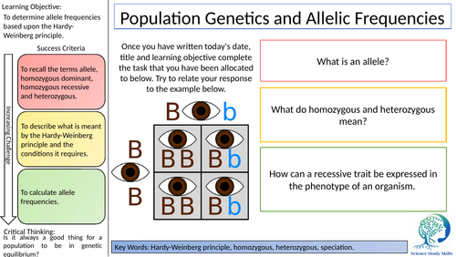 Population Genetics and Allelic Frequencies - Grade 11 | Teaching Resources