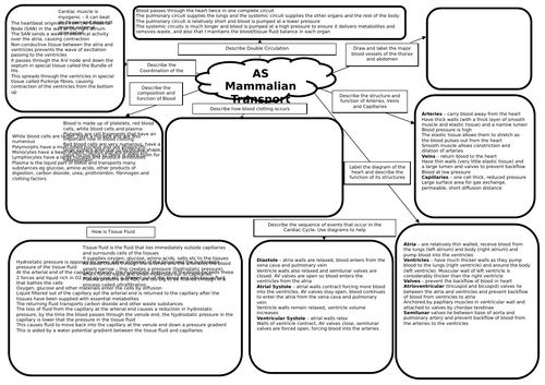 AS Biology - Completed Mammalian Transport Revision Mats | Teaching ...