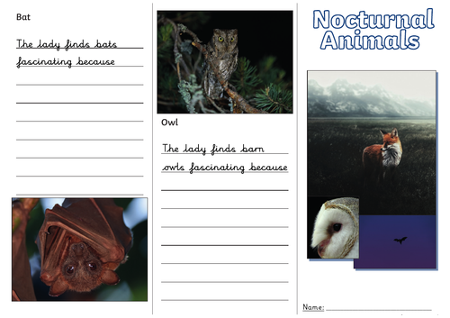 Y2 VIPERS Planning The Owl Who Was Afraid of the Dark | Teaching Resources
