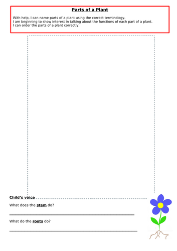 Sorting parts of a plant - labelling | Teaching Resources