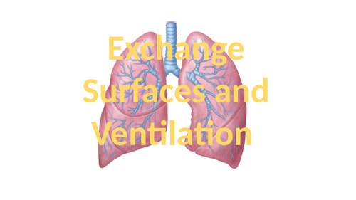 Gas Exchange in Mammals, Insects & Fish. Spirometry. All Major Exam ...