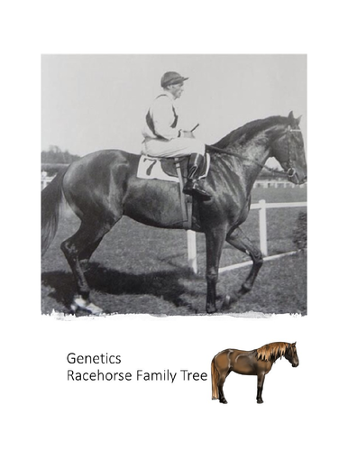 Genetics Kentucky Derby Racehorse Real Life Applications Middle & High ...