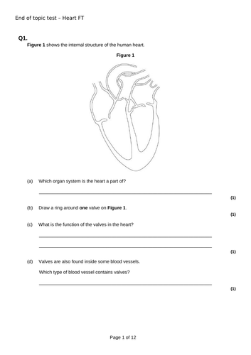 AQA GCSE Biology The heart (full set of resources) | Teaching Resources