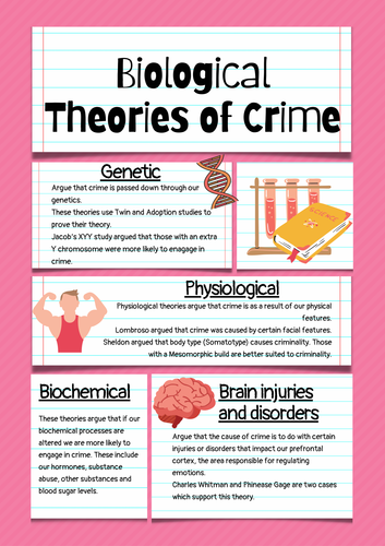 WJEC Criminology Biological Theories of Crime Poster | Teaching Resources
