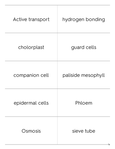 Revision flashcards for Combined science AQA - Biology | Teaching Resources