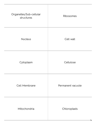 Revision flashcards for Combined science AQA - Biology | Teaching Resources